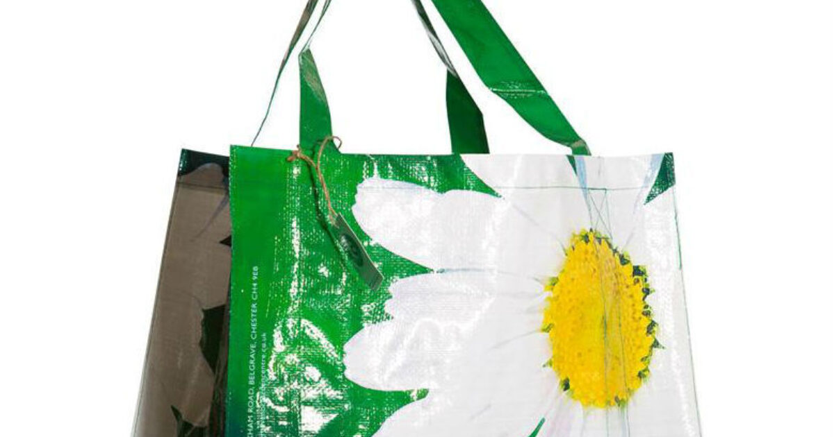 Green Ecobag makes a Great Heavy Duty Shopping bag for… | Smartbags